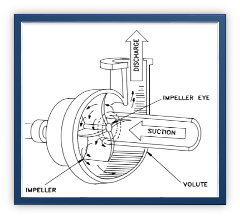 Centrifugal Pump Impeller Design Calculations